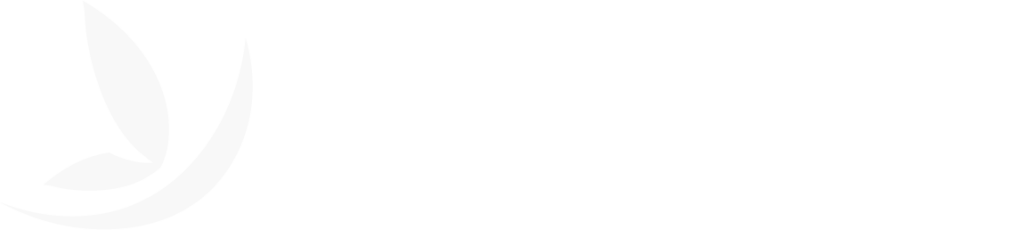 The Avida Dental Implant Process - Avida